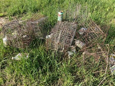 Assorted Crab Traps Delaware Auction Center
