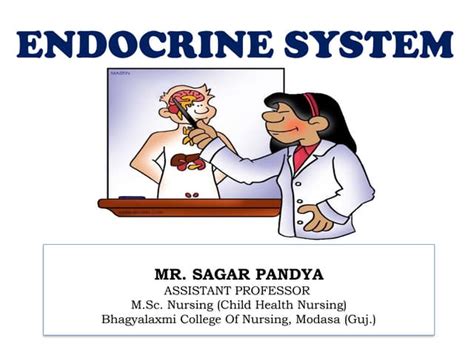 Integumentary System Structure Functions And Importance Pptx