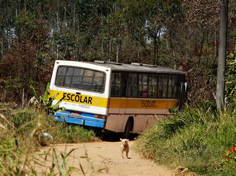 Yellow And Blue Bus On Green Grass Field During Daytime Photo Free Bus Image On Unsplash