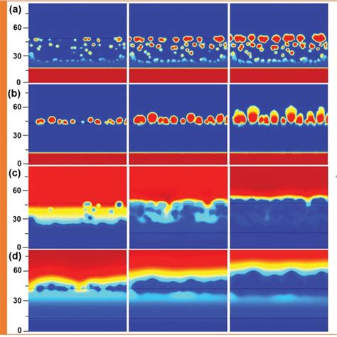 simulating results of phase‐field model the simulated distribution of