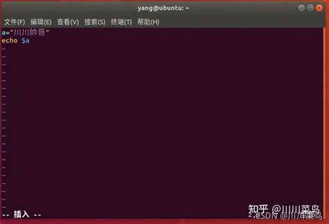 最全linux Shell详细教程linux Shell 菜鸟教程 Csdn博客