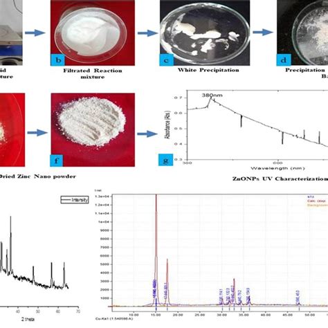 Cell Weight And Cell Volume Of Cell Suspension Culture After