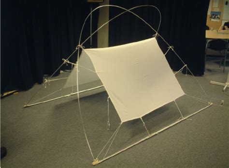The Structure Of The Tent Download Scientific Diagram