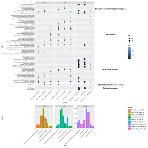 Kegg Result Visualization By Ggplot Karobben