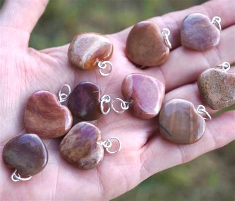 Polished Petrified Wood Pendent Peanut Jasper In 925 Sterling Silver 1