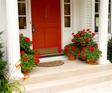 10 Front Door Plants That Will Add A Decorative Touch
