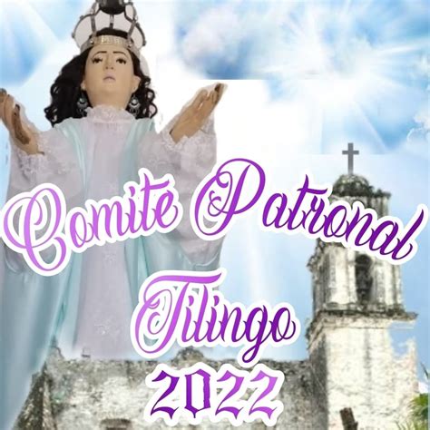 Fiesta Patronal Temimilcingo 2019