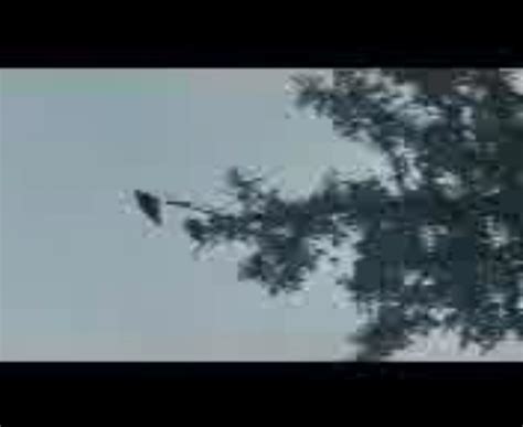 Id Requested Cont Rbirding