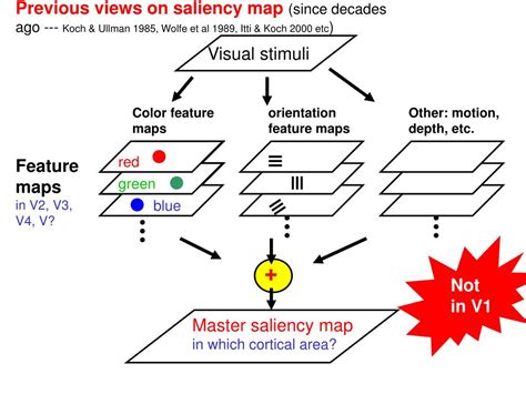 Ppt A Bottom Up Visual Saliency Map In The Primary Visual Cortex