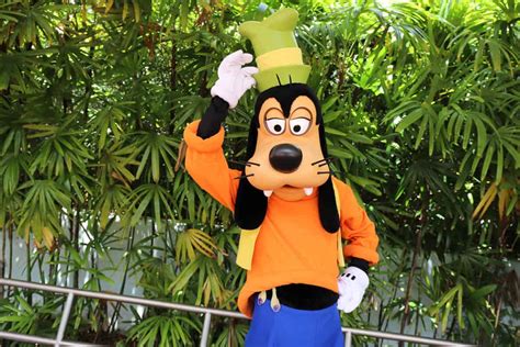 Meet Goofy Near Epcots Entrance Disney Pals Meet Resorts Gal
