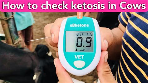 Blood Test Ketones Abnormal At Donald Hammond Blog