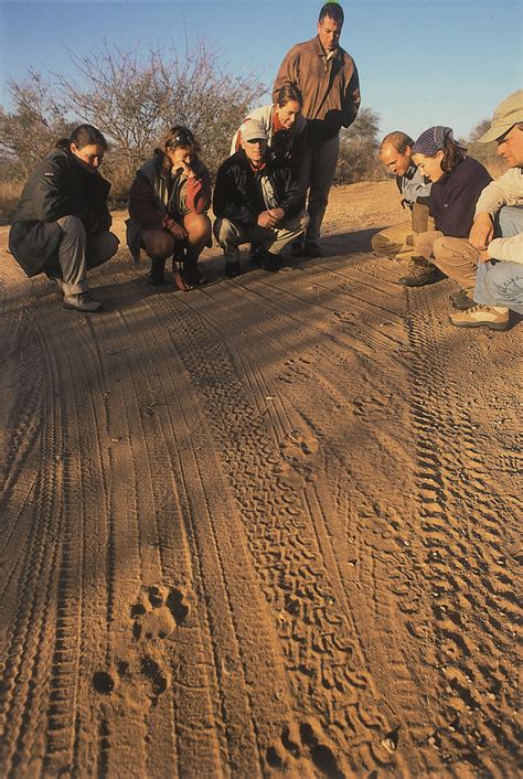 Tracking Skills