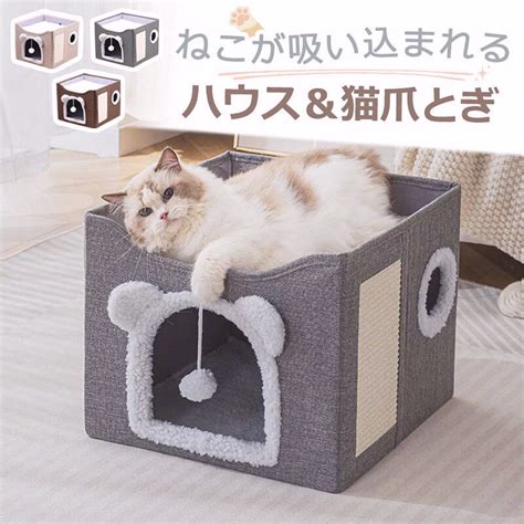 【楽天市場】猫 ハウス ペットハウス 2型 段 秋 冬 犬ハウス 室内 猫ベッド 暖かい ハウス 犬 可愛い 猫ハウス キャット ハウス 室内