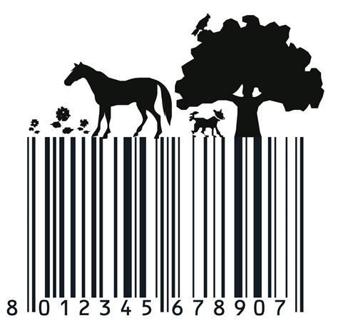 Blog Idee Los Pid Y El Ciclo De Vida