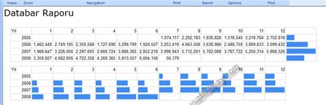 Sql Server Reporting Services Grafİkler Sparkline Data Bars Bölüm 5