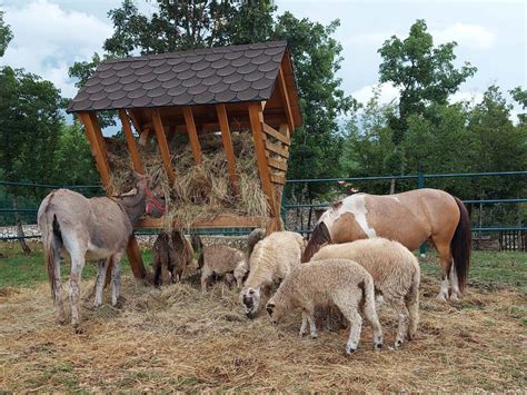 Park Goranci Herzegovinabike Park Goranci Herzegovinabike