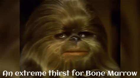Star Wars Holiday Bone Marrow  Star Wars Holiday Bone Marrow