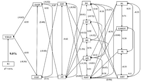 Path Analysis Diagram Depicting The Causal Relationship Of Measured