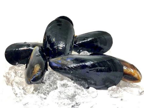 Black Mussels Medium Something Fresh Guam Saipan Palau