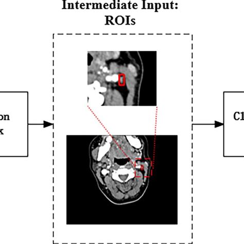 Convolution Layer And Output Image Size Of Resnet50 At Each Stage Download Scientific Diagram