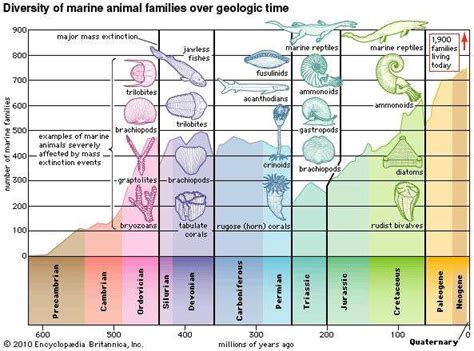 Échelle Des Temps Géologiques Divisions Périodes Et éons Géologie