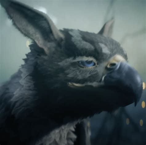 Assan Dragon Age Wiki Fandom