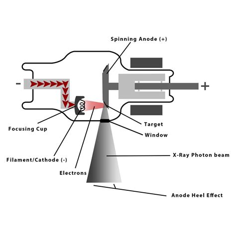 Types Of X Ray Tubes At Charlene Cates Blog