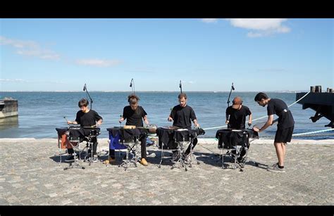 Maus Hábitos Ensemble Hemiptera