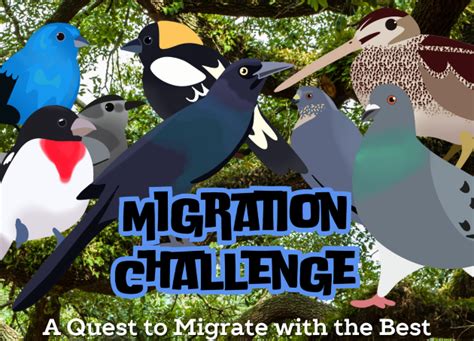 Migration Challenge By Gulfcoastbirdobservatory