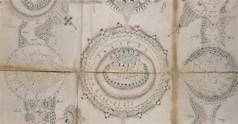 Voynich Manuskript Middelalderbog Handler Om Sex Historienetdk