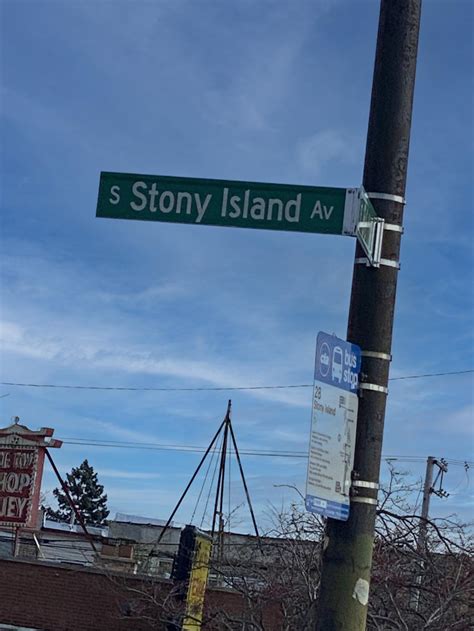 Stony Island Avenue Historical Gateway To Mount Carmel The Caravan