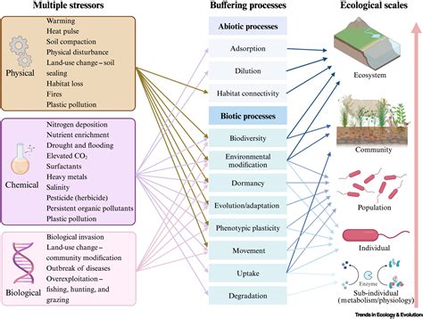 Ecosystems Have Multiple Interacting Processes That Buffer Against Co