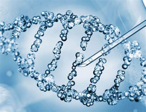 Human Embryo Genome Editing Is It Possible Or Acceptable