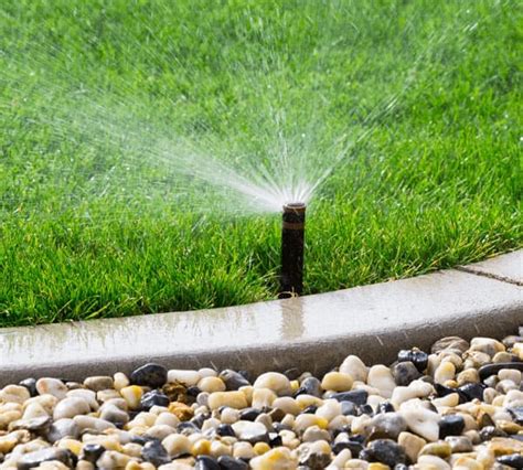Reticulation Services Landscaping Expert