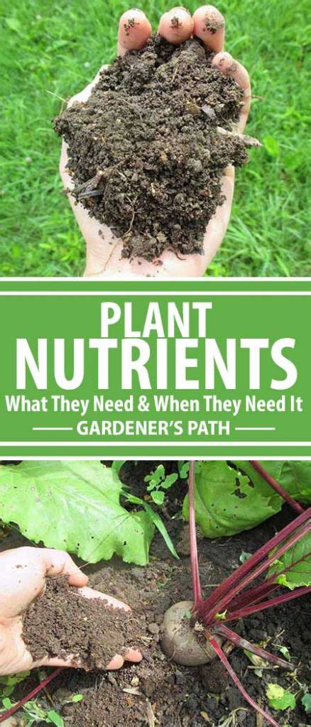 Base Nutrients For Gardeners