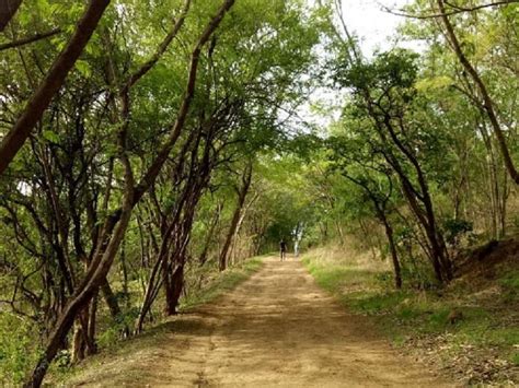 खुनाच्या घटनेने पुणे हादरले मैत्रिणीसोबत फिरण्यासाठी गेलेल्या तरुणाचा