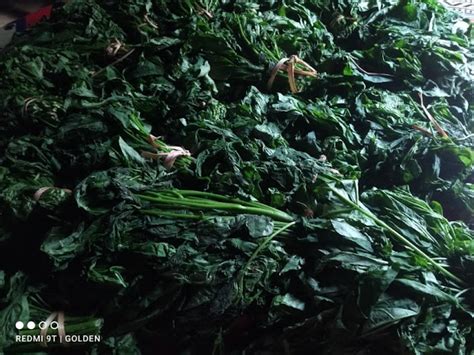 သံတောင်ကြီးမြို့တွင် ရာသီစာဖြစ်သည့် ကတက်ချဉ်များ ရောင်းချခြင်းဖြင့