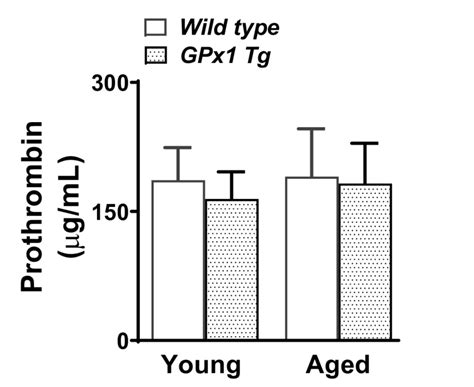 Figure S1 Plasma Prothrombin Levels In Mice Prothrombin Level Was