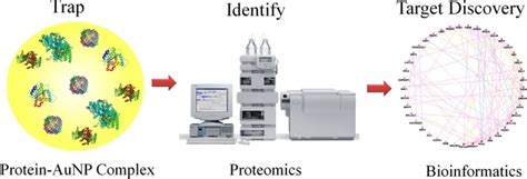 Understanding Proteinnanoparticle Interaction A New Gateway To