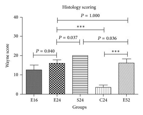 Histology And Wayne Score Of Repaired Cartilage Pictures In Figure Download Scientific Diagram