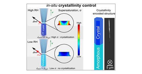 Three Dimensional Printing Of Dipeptides With Spatioselective Programming Of Crystallinity For