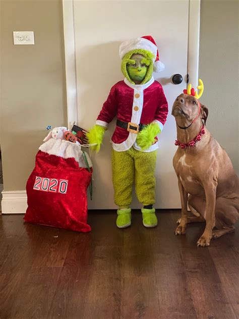 Max From The Grinch Costume Idea Artofit