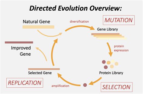 Teamstanfordprojects Overview