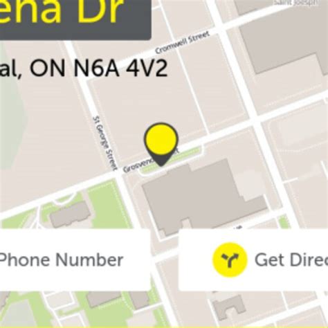 Queena Chou Professor Associate The University Of Western Ontario London Uwo