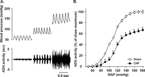Altered Enac Is Associated With Aortic Baroreceptor Dysfunction In