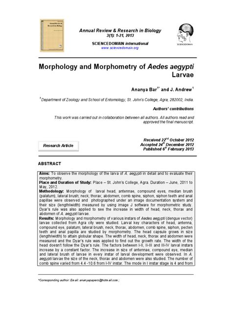 Morphology Aedes Sp English Journal Pdf Anatomical Terms Of