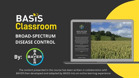 1 Unraveling The Impact Of Diseases In Wheat