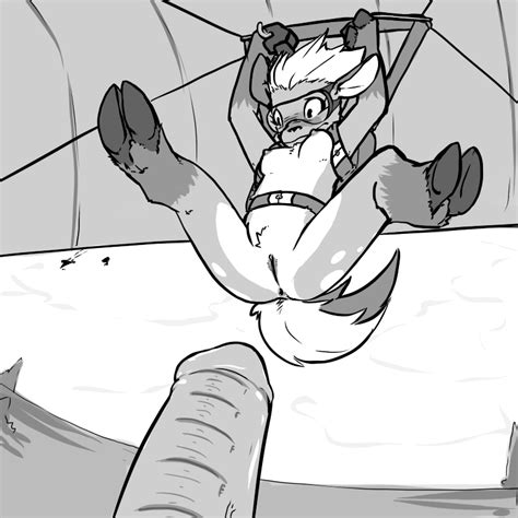 Rule 34 2015 Anus Breasts Cervine Clitoris Deer Eyewear Female