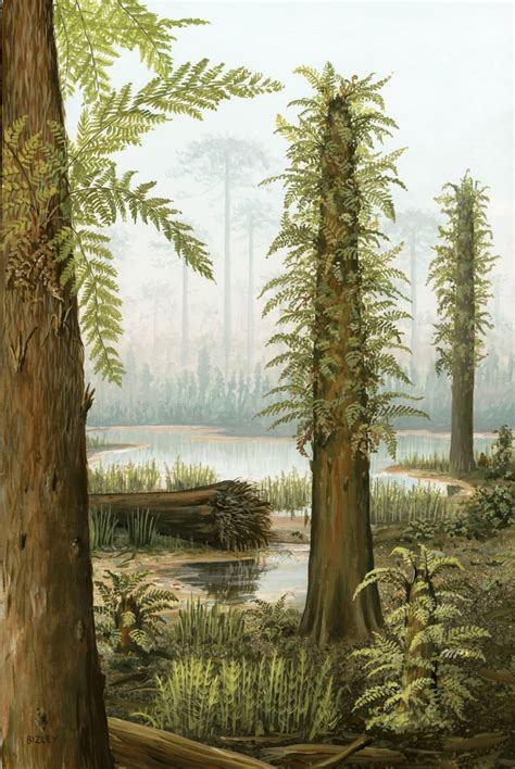 Bizleyart Gallery Category Cretaceous Image 1107 Tempskya