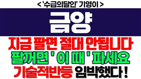금양 주가전망 지금 팔면 절대 안됩니다 팔꺼면 이 때 파세요 기술적반등 임박했다 Feat 수급의달인 기영이